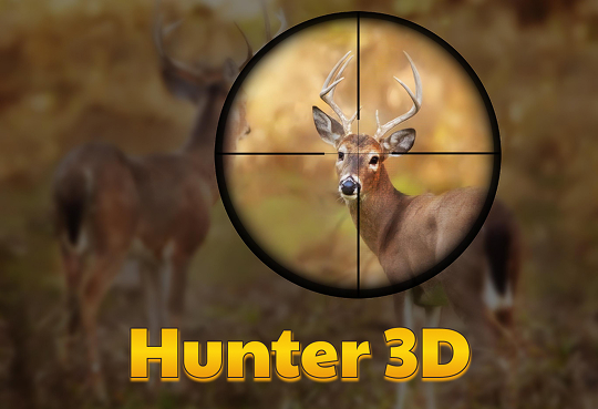 Hunter 3D Play for Free 🕹️ at PlayZen!